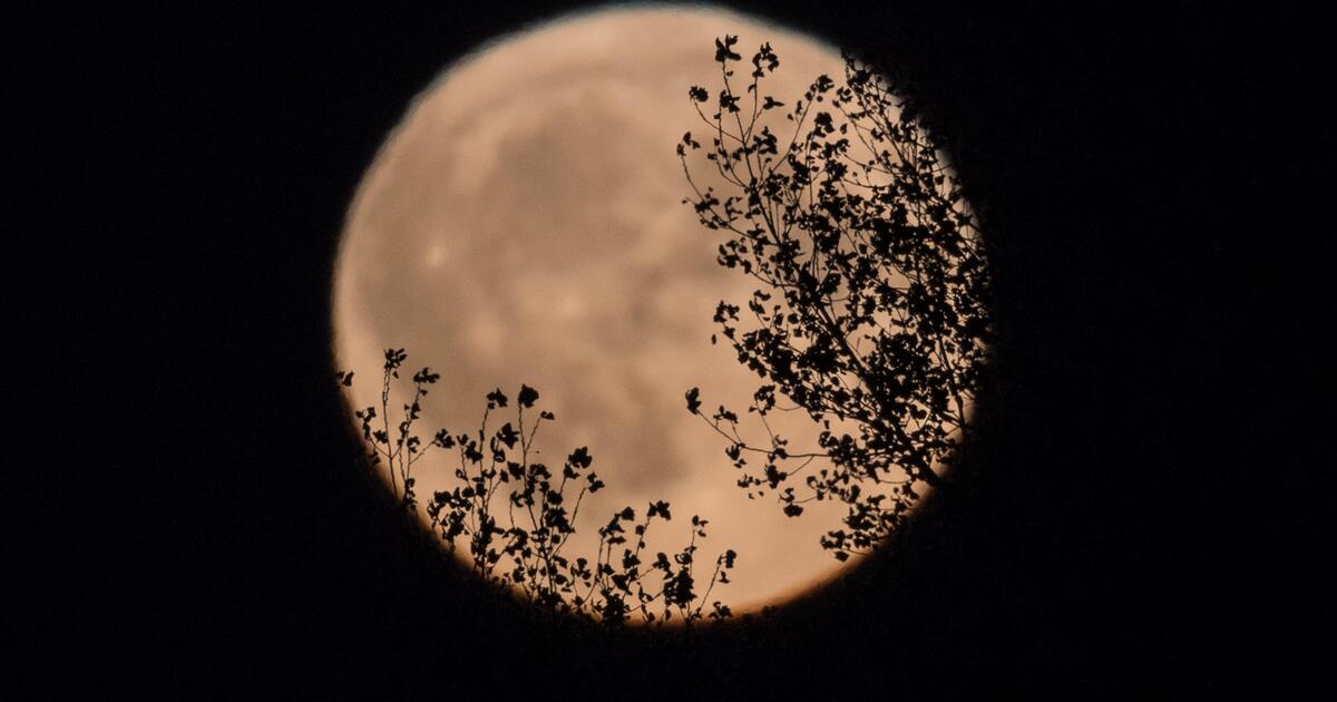 Der Vollmond heute Nacht ist der erste Supermond in 2025 | GMX.CH