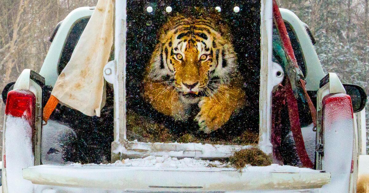 Fotos aus aller Welt - Februar 2025 | GMX.CH