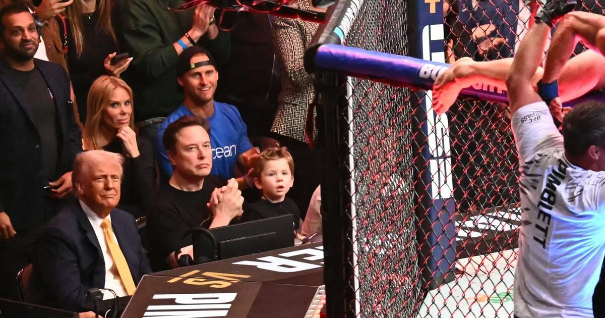 Trump und Musk mit vierjährigem Sohn X bei UFC-Käfigshow | GMX.CH