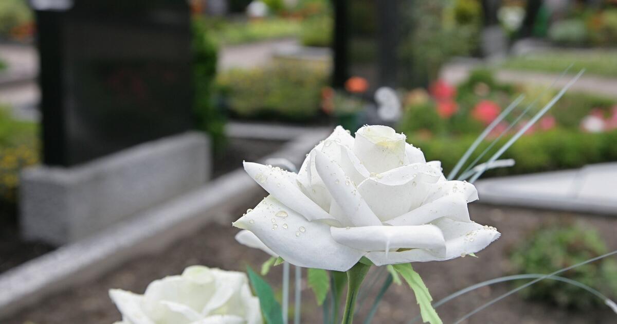 Wachsleichen auf Friedhöfen - Viele Tote verwesen nicht vollständig ...